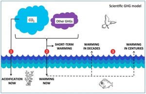 The Twisted Tale of Greenhouse Gases : Ecological Survival