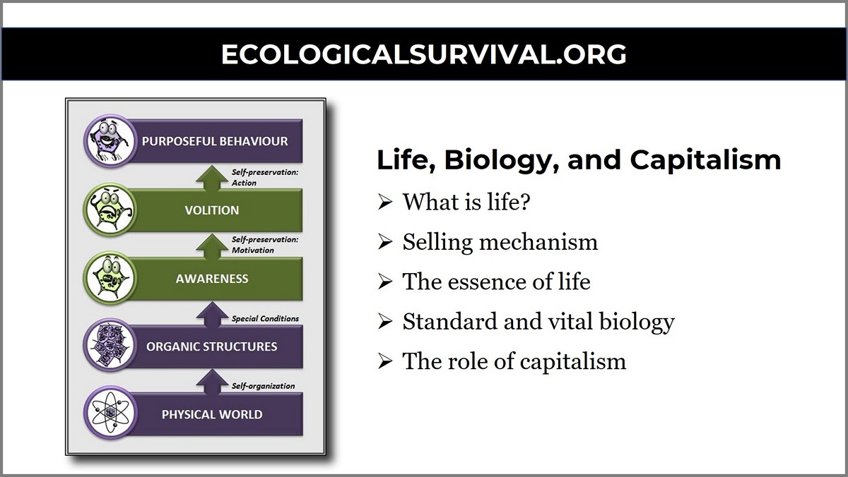 Life, Biology, and Capitalism : Ecological Survival